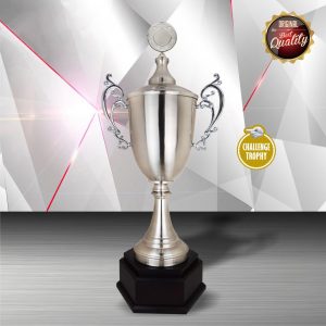 WS6150 Exclusive White Silver Trophy – iTrophy