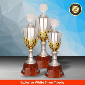 WS6202 Exclusive White Silver Trophy – iTrophy