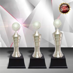 WS6024 Exclusive White Silver Trophy – iTrophy