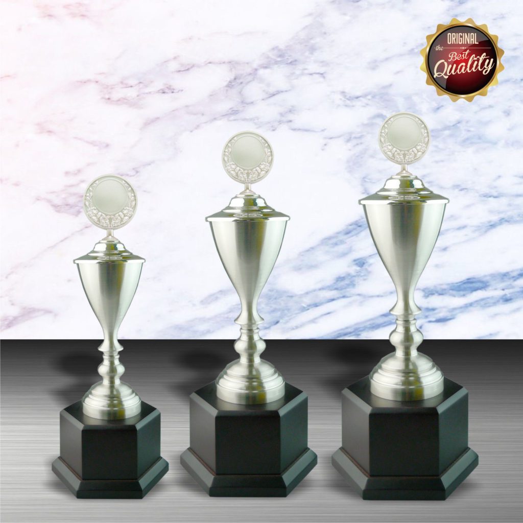 WS6042 Exclusive White Silver Trophy – iTrophy