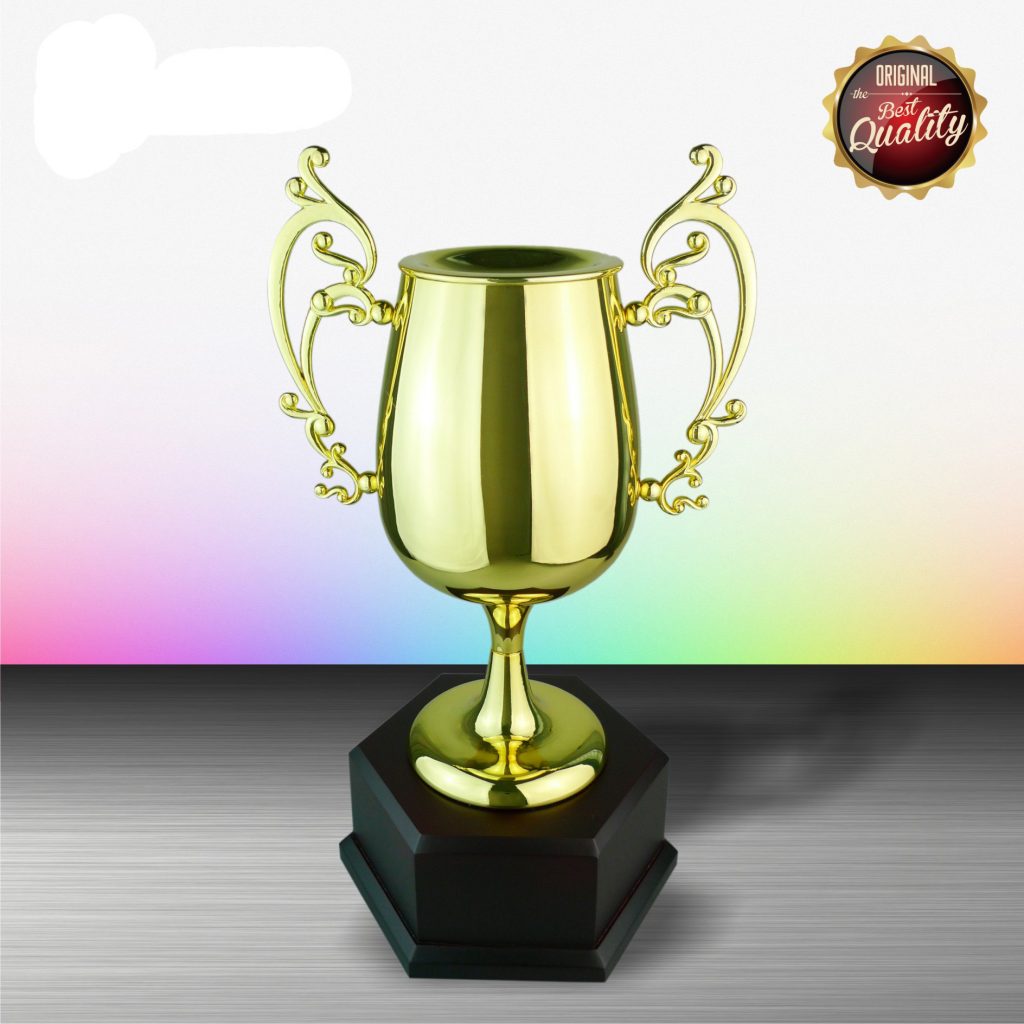 WS6084 Exclusive White Silver Trophy – iTrophy