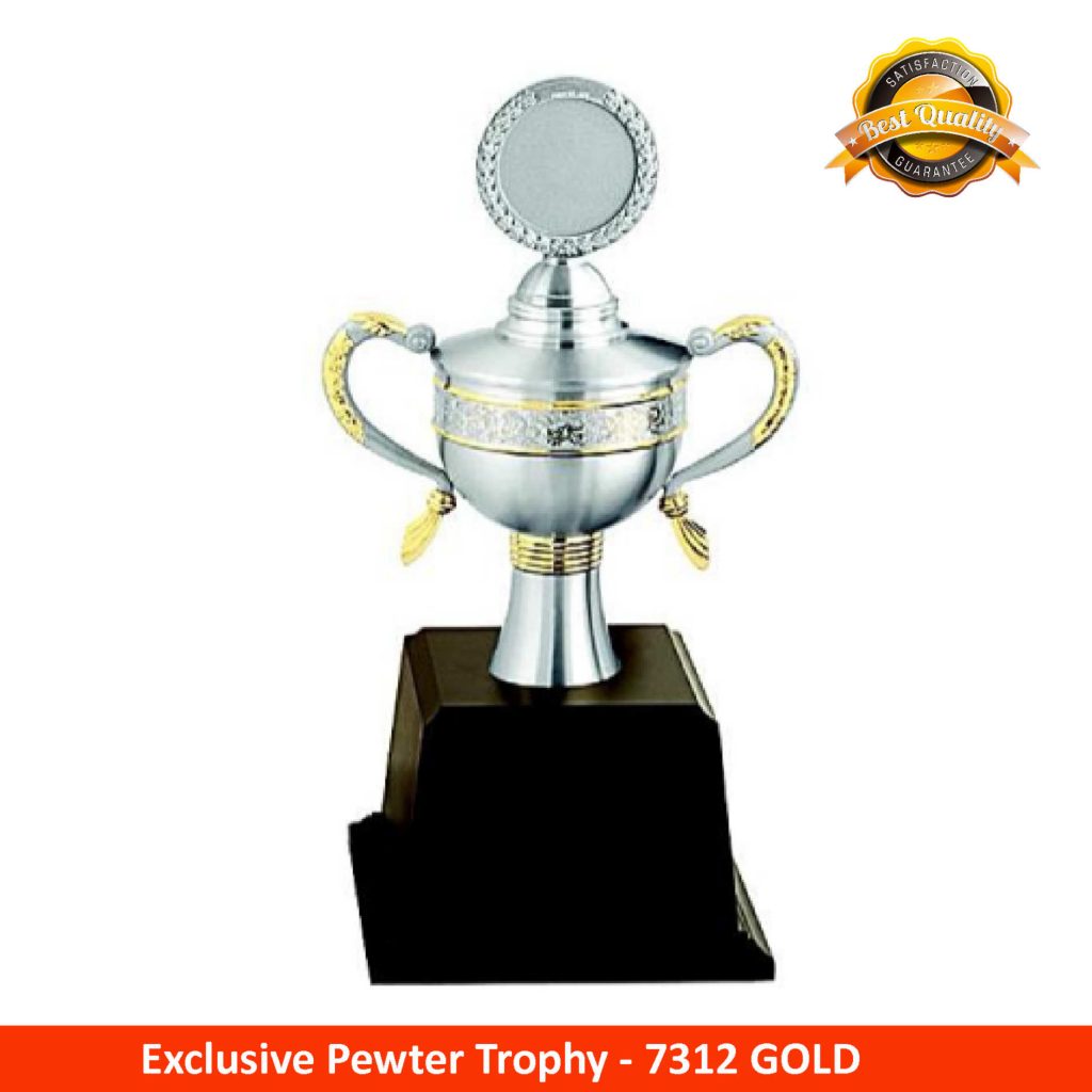 P-7312(G) Pewter Trophy – iTrophy