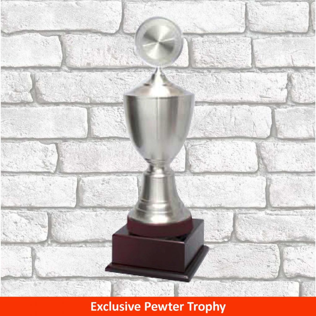 FT3 Exclusive Pewter Trophy – iTrophy