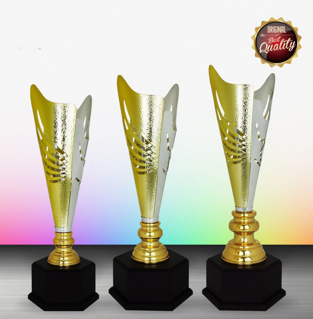 WS6165 Exclusive White Silver Trophy – iTrophy