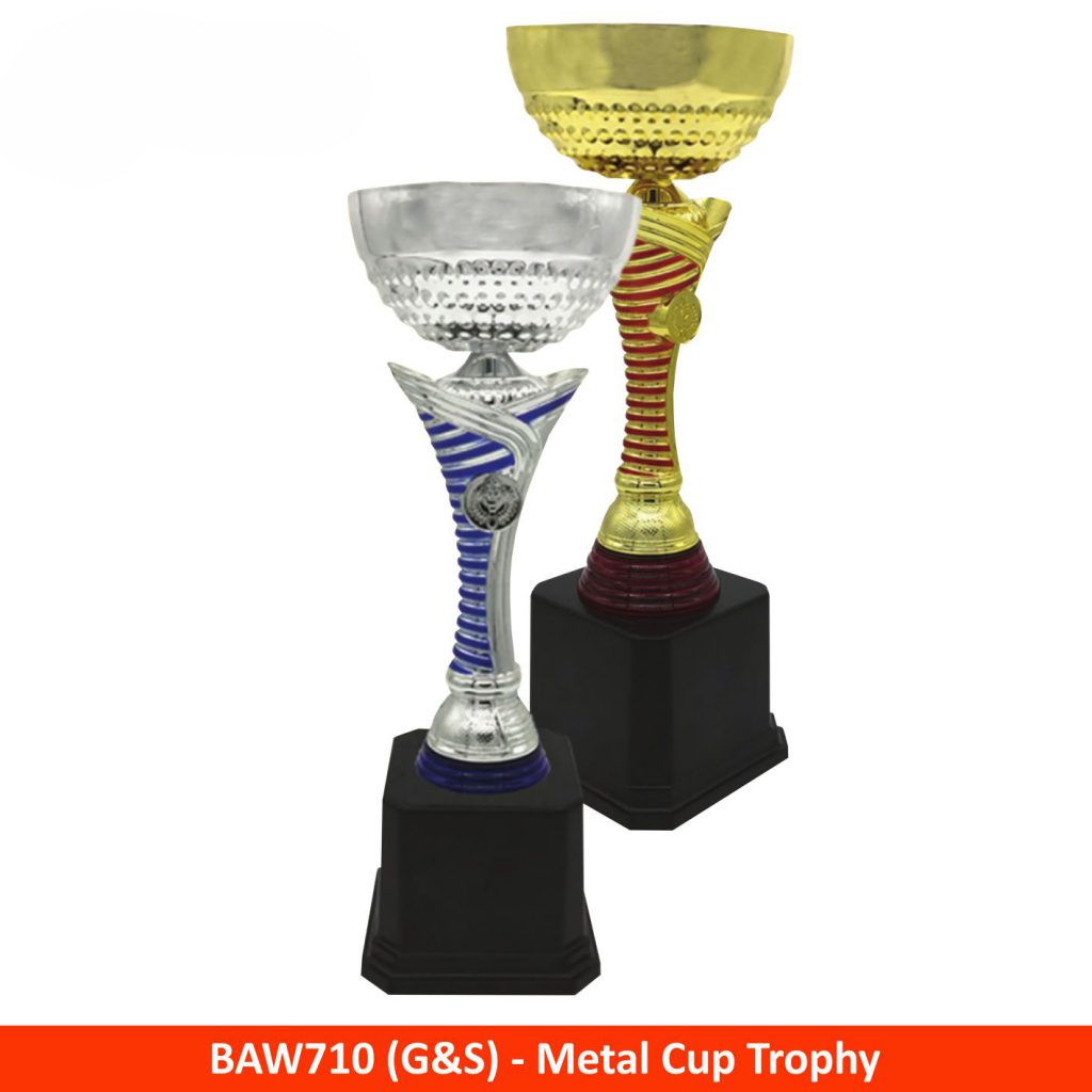 BAW709 Metal Cup Trophy (SILVER BLUE) – iTrophy