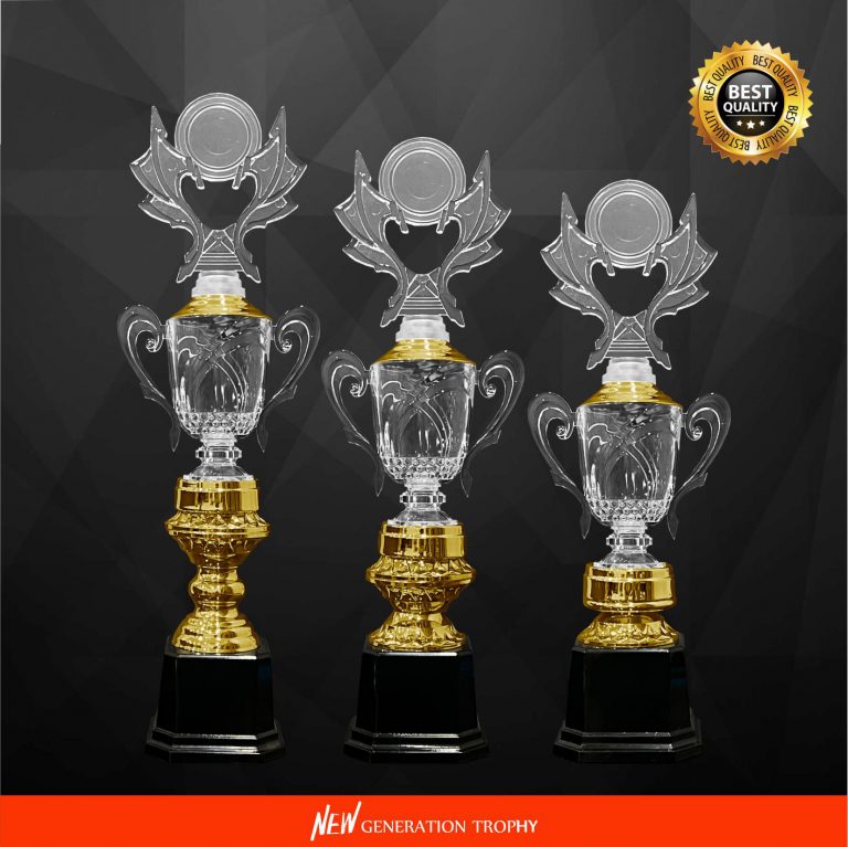 4361 Acrylic Trophy – iTrophy