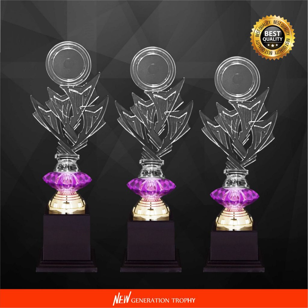 4366 Acrylic Trophy – iTrophy