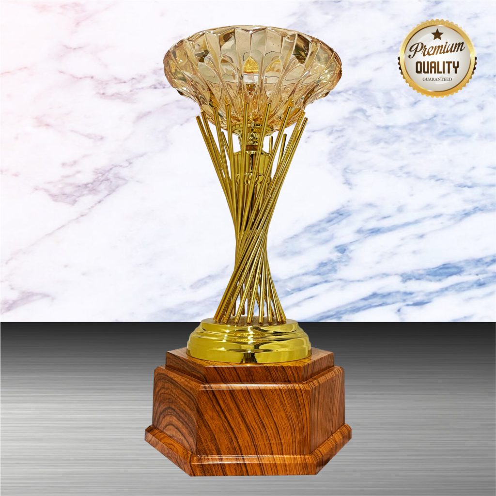 WS6213 Exclusive White Silver Trophy – iTrophy